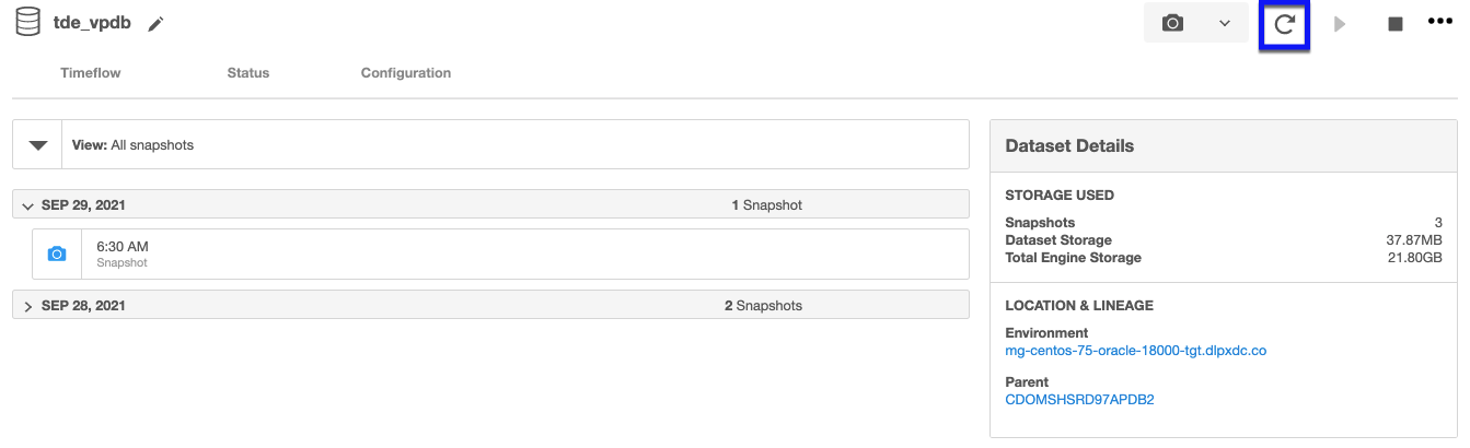 Provisioning and managing virtual databases