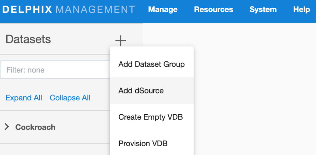 Creating a dSource with ingestion type Disk
