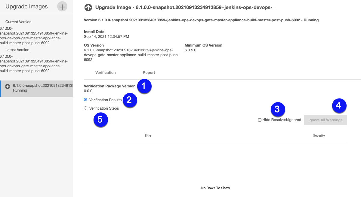Upgrade verification