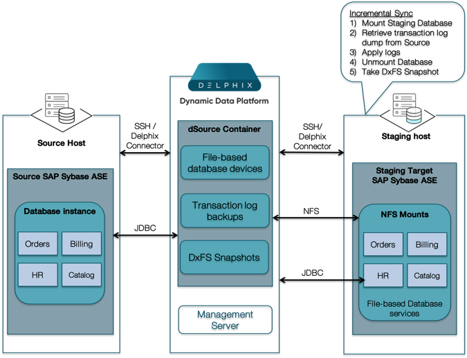 Managing SAP ASE environments overview