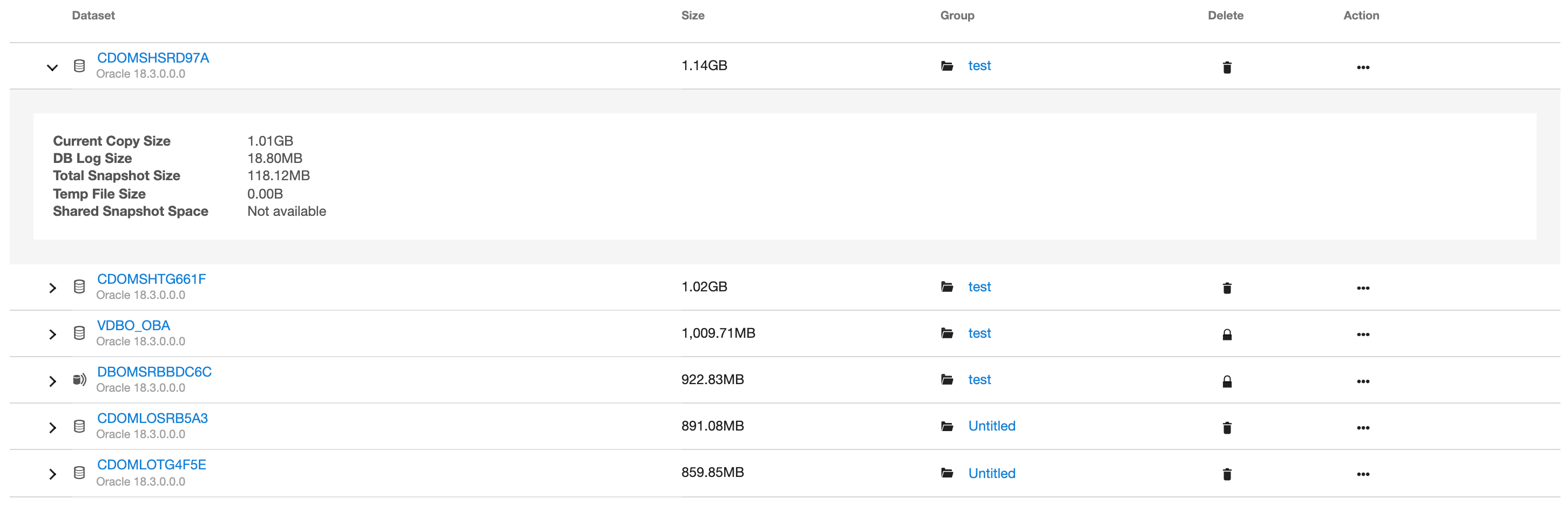 Understanding Delphix disk usage